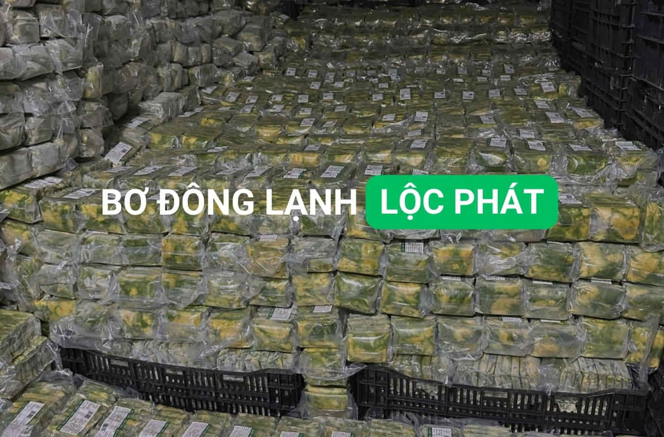 Bơ đông lạnh | Loc Phat Frozen Fruits
